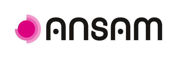 IT & AI digitization | Innovative solutions for your SME | ANSAM